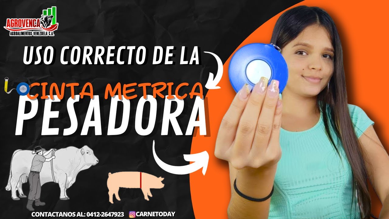 USO CORRECTO DE LA CINTA METRICA PESADORA BOVINOS - PORCINOS - YouTube