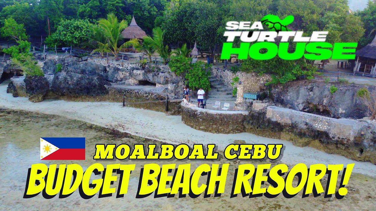 Moalboal on a Budget: Sea Turtle House Resort Tour - YouTube