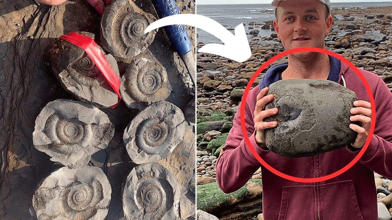3 Day Fossil Hunt - I Was Shocked To Find This 😲 - YouTube