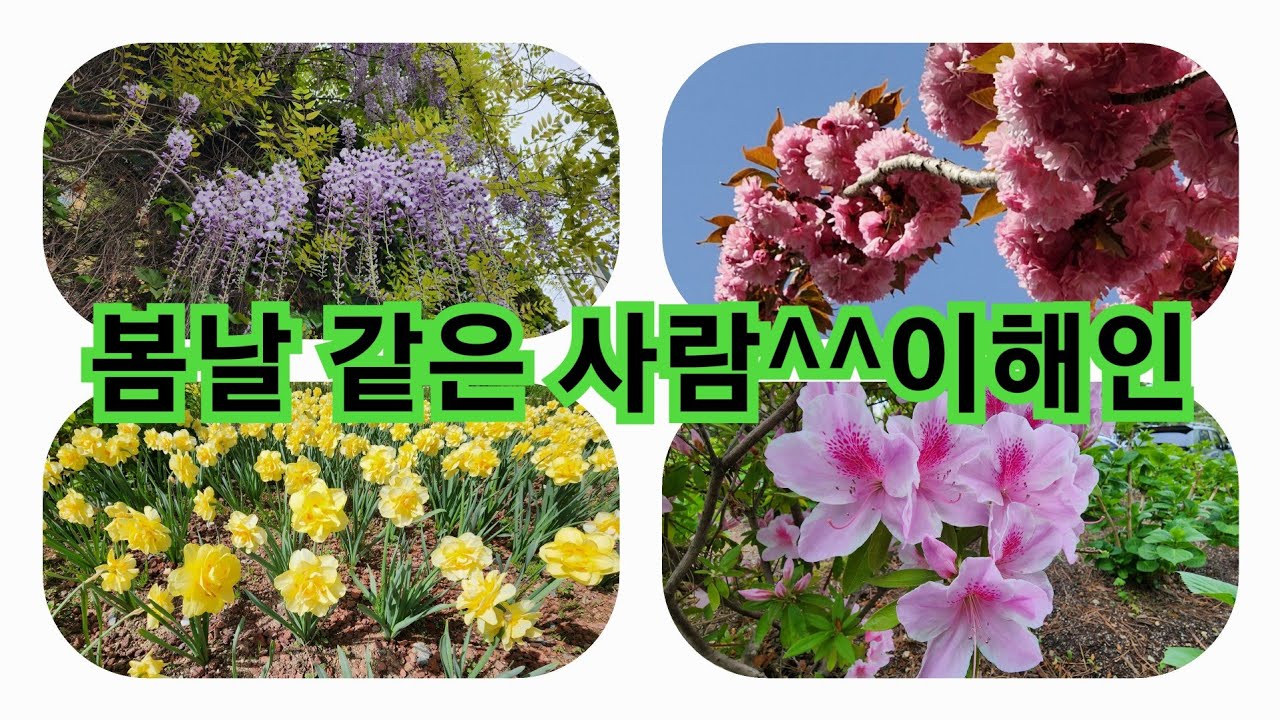 봄날 같은 사람 | 이해인 |4월봄의 시|휴tv357 - YouTube