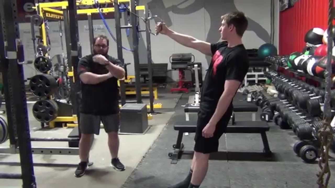 elitefts.com - Single Arm Blast Strap™ Row Variations - YouTube