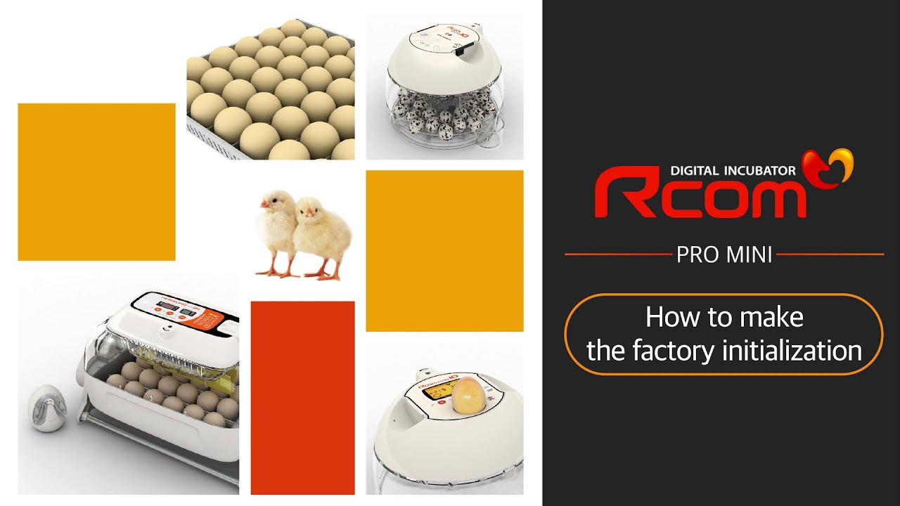 Rcom PRO MINI Incubator : Video manual - YouTube