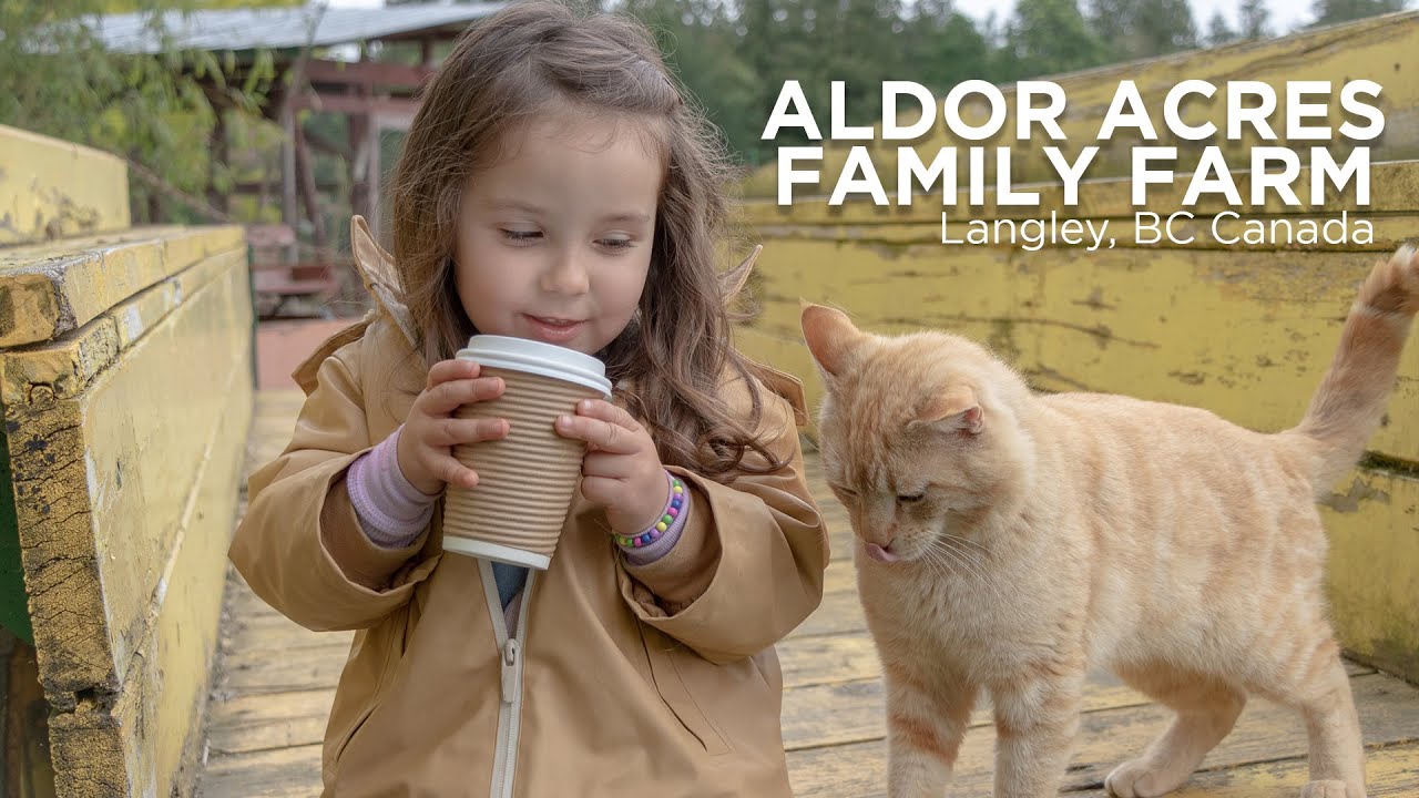 Aldor Acres Family Farm 2022 - YouTube