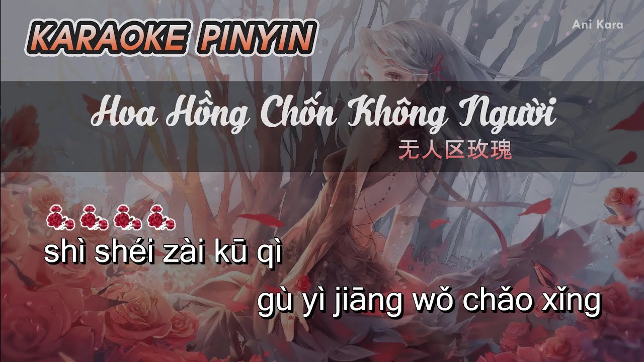 Hoa Hồng Chốn Không Người【KARAOKE】无人区玫瑰「Pinyin Lyrics」- Nhất Khỏa Lang Tinh | 一颗狼星 - YouTube