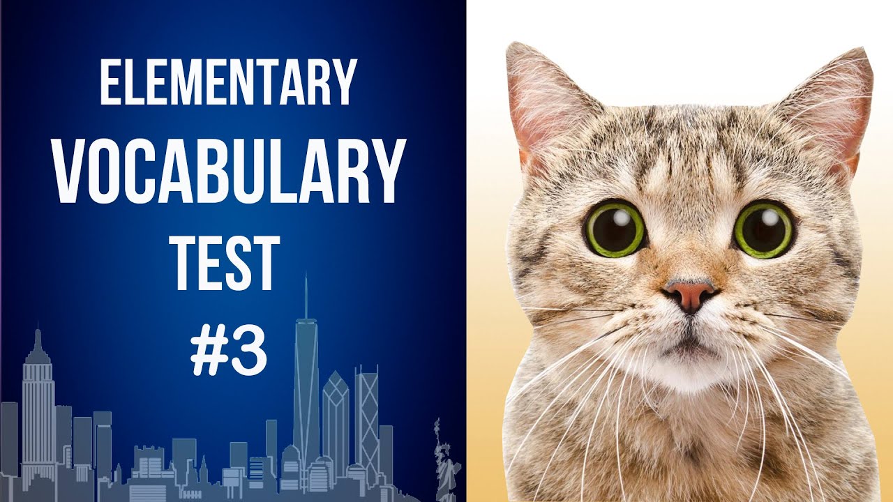 Elementary Vocabulary Test #3 - YouTube
