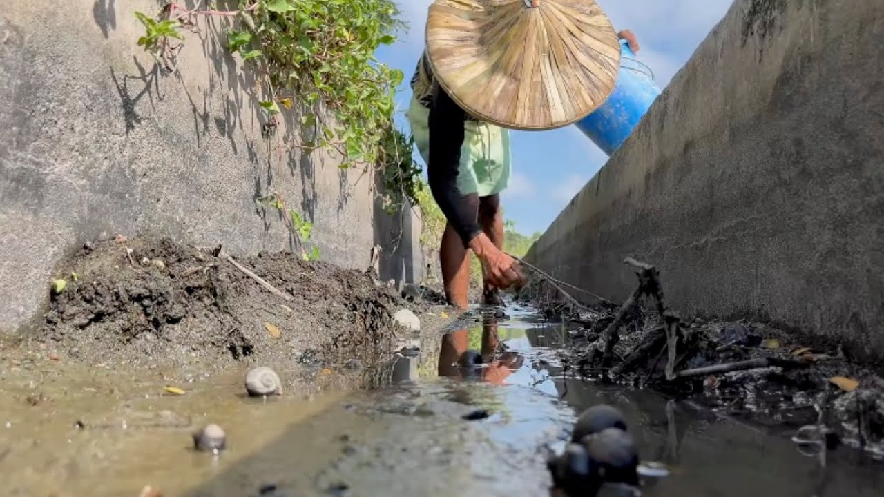 Pangunguha ng bisukol at freshwater mussel - YouTube