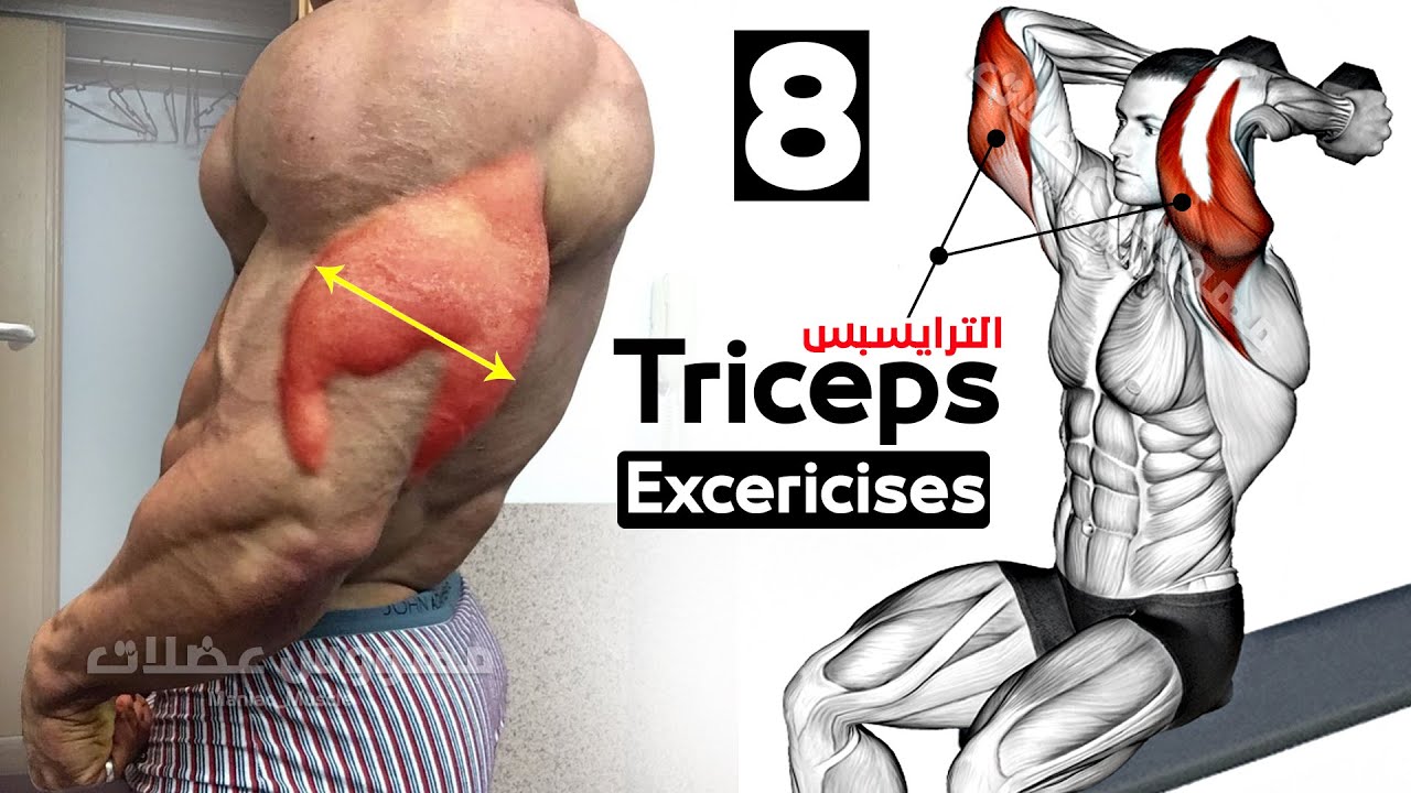 BEST 8 TRICEPS Workout , Maniac Muscle - YouTube