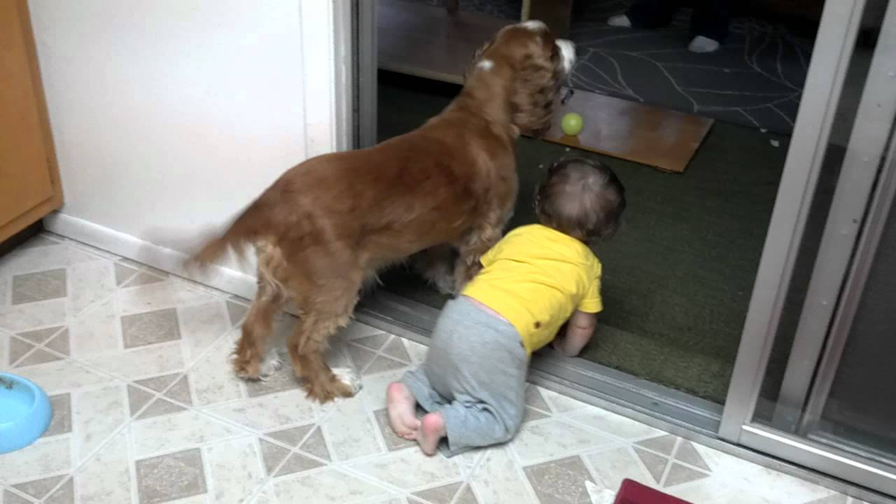 Walking little man... - YouTube