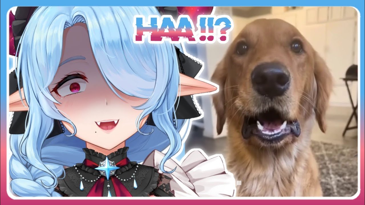 Milkywayz React To Daily Dose Of Internet | Try To Not Laugh !!? - YouTube