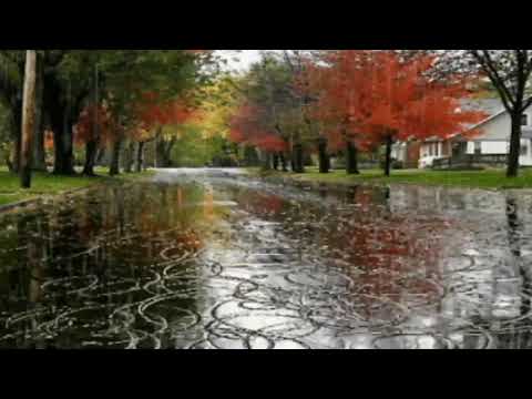 Dinlendirici Yağmur Sesi (Kesintisiz - Reklamsız) / rain sound (no ads)