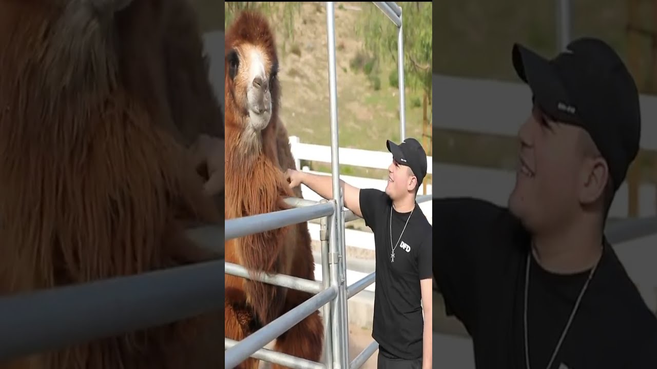 Drifting Tesla with Danny Duncan! - YouTube