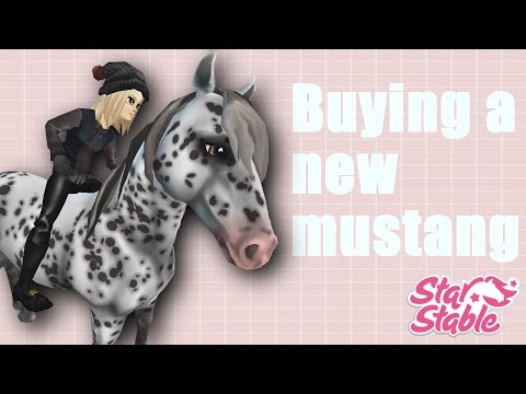 SSO - Buying a NEW mustang!! - YouTube