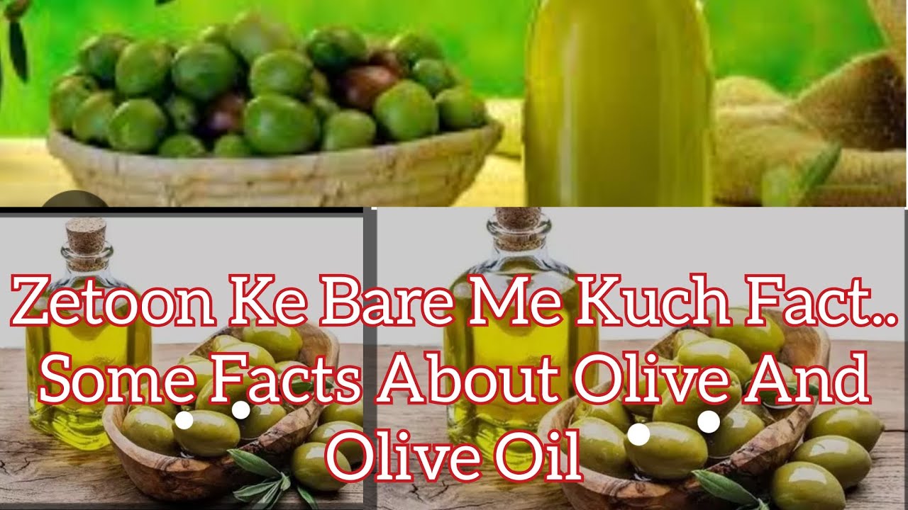 Zetoon Ke Bare Me Kuch Fact.. Some Facts About Olive And Olive Oil ...