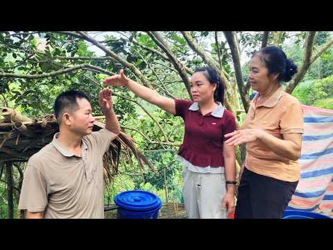Hương's mother took the young woman to the place where he lived