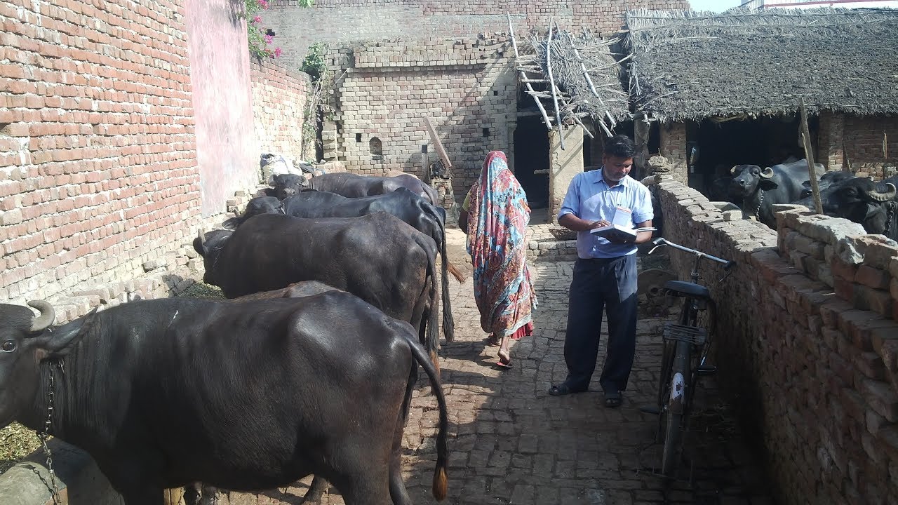 Animal breeding services at the doorstep of farmers , Vibrant ...