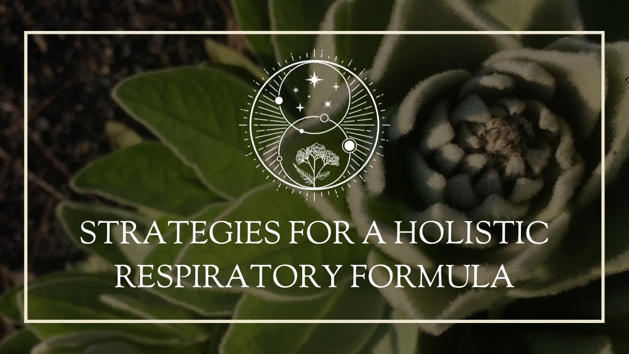 Strategies for a Holistic Respiratory Formula - YouTube