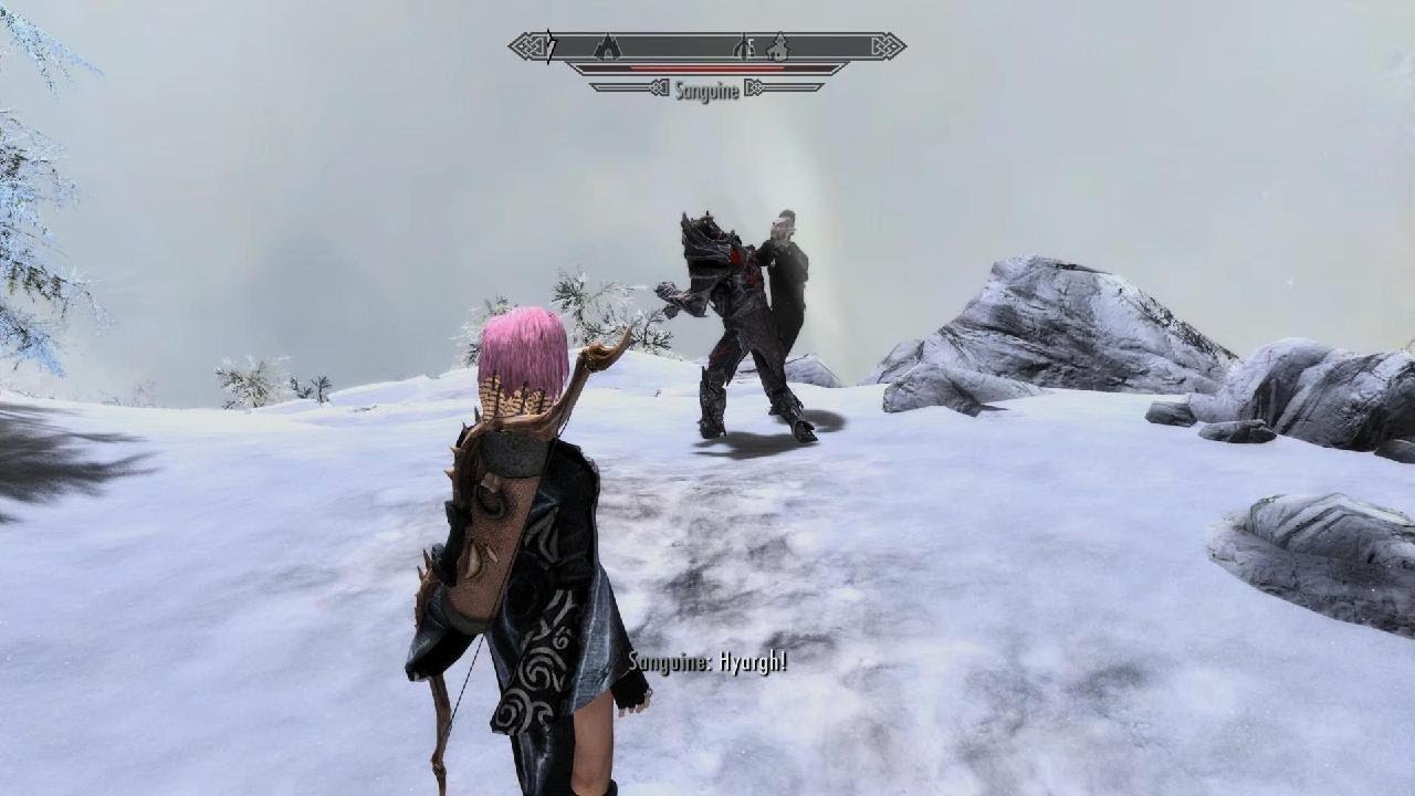 [PS] Skyrim, mods #1 Multiple Followers System - YouTube