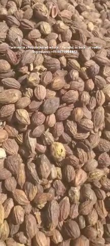 Whole harad | Sabut Harad | #amla #herbs #triphala #ayurvedalifestyle # ...