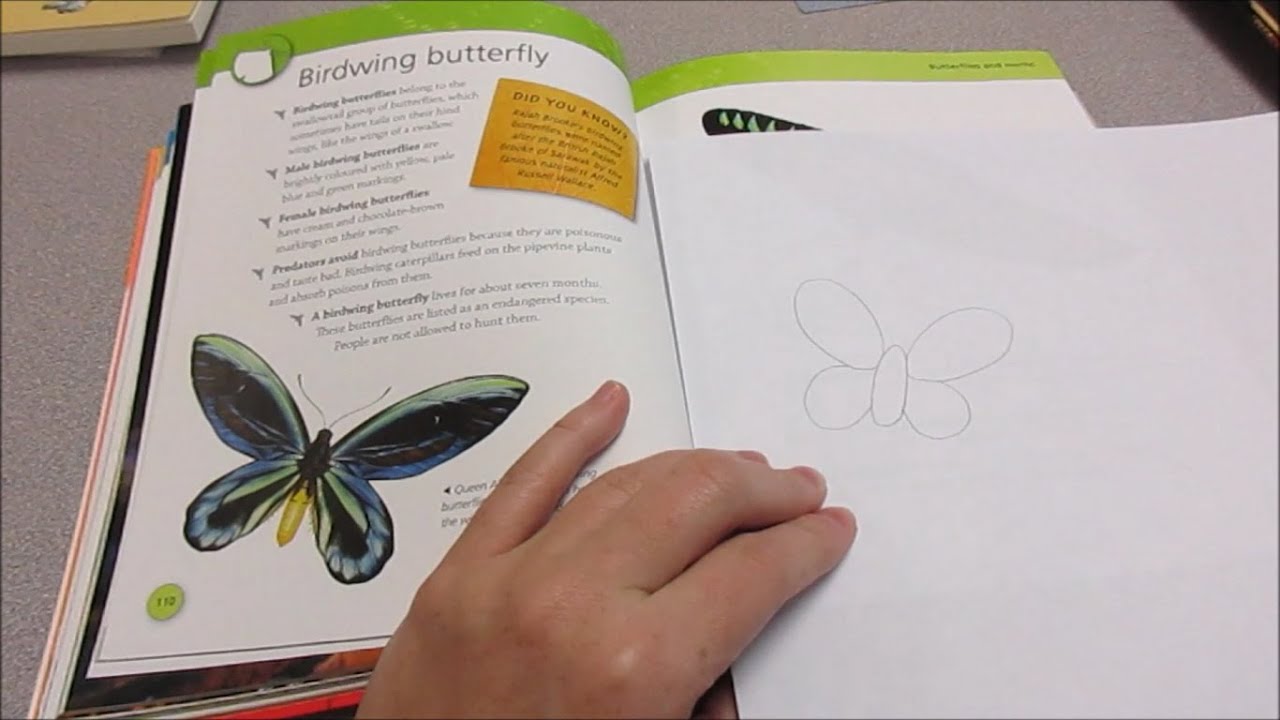 20 minute art lessons: Drawing simple bugs part 2 - YouTube