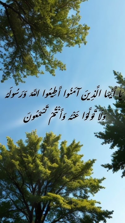 يَا أَيُّهَا الَّذِينَ آمَنُوا أَطِيعُوا اللَّهَ وَرَسُولَهُ Youtube