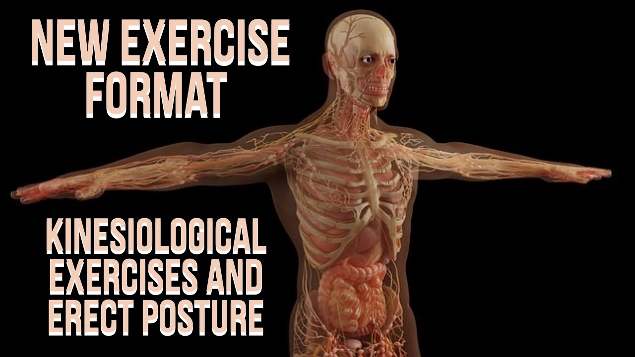 KINESIOLOGICAL EXERCISES AND ERECT POSTURE | New exercise format - YouTube