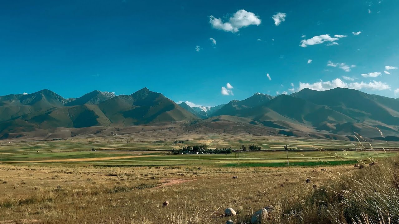 Relaxing Meadow with Ambient Nature Sounds and Mountain View - YouTube