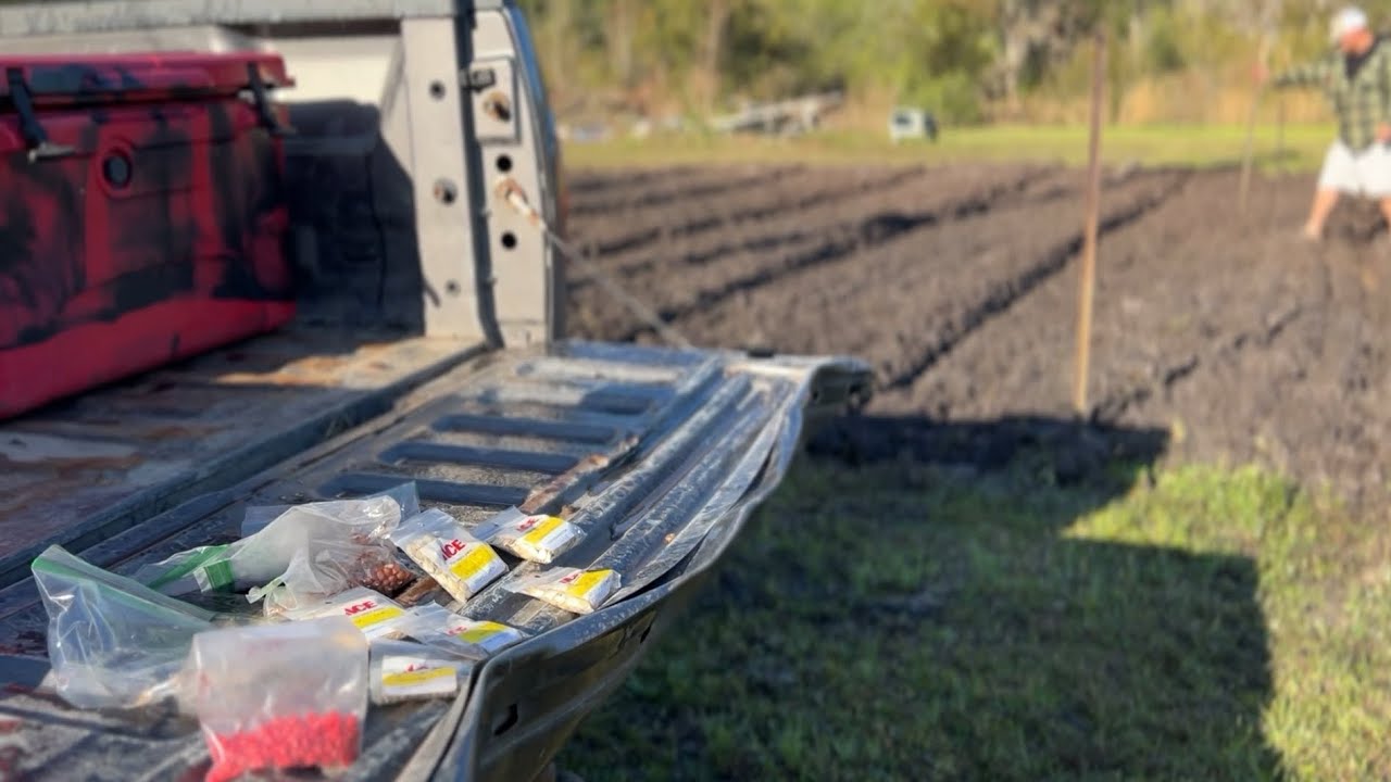 Planting our Garden #yum #Garden #trudave - YouTube