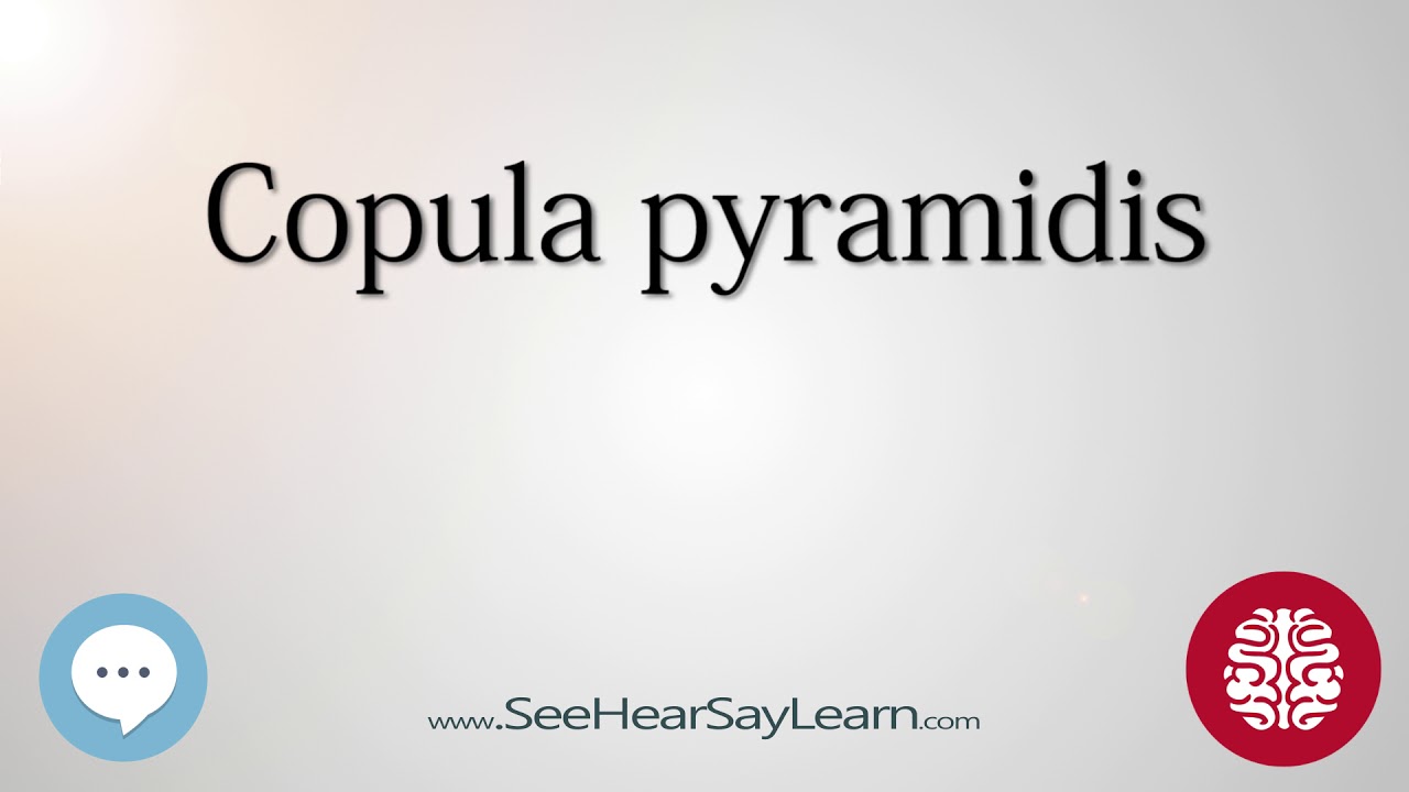 Copula pyramidis Anatomy of the Brain SeeHearSayLearn 🔊 - YouTube