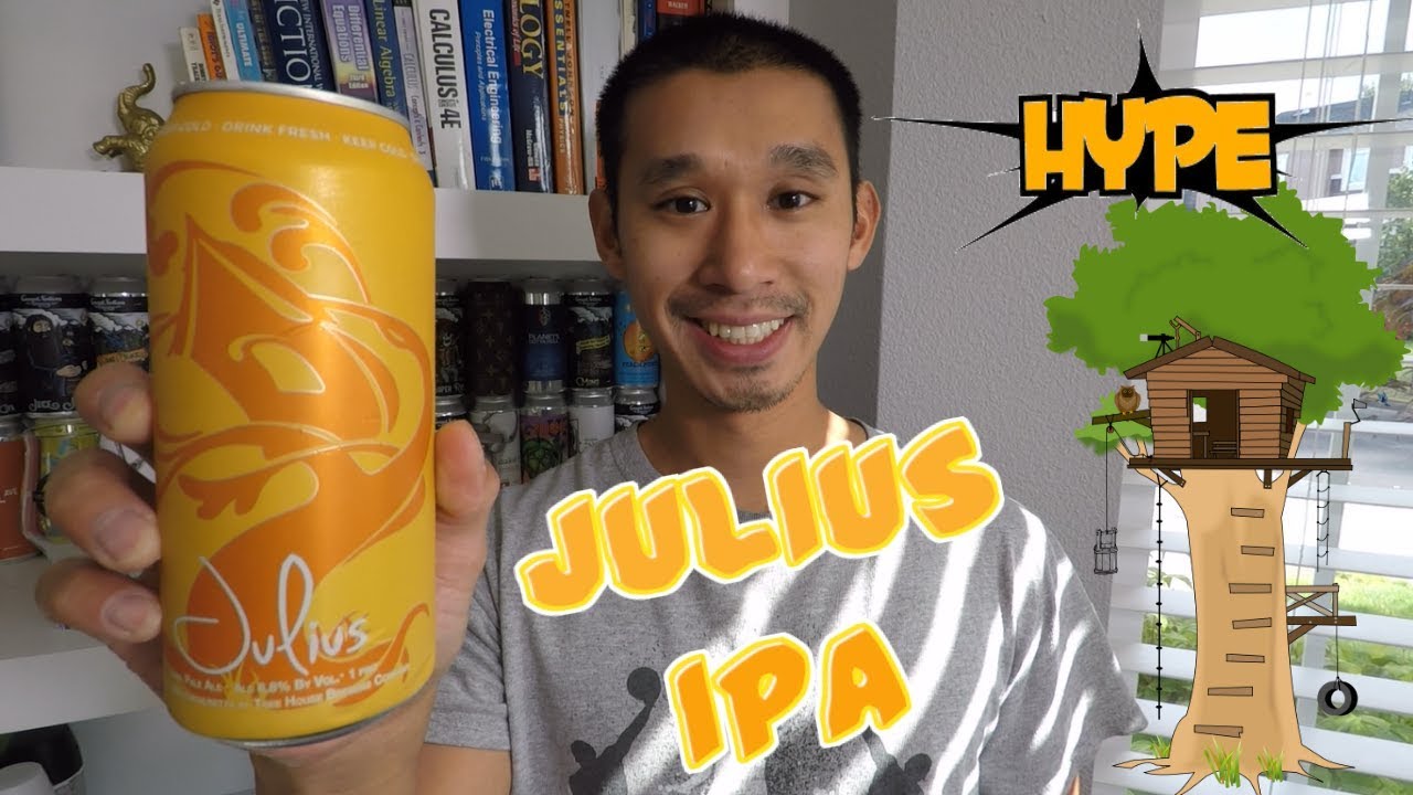 BEER REVIEW #141 - TREE HOUSE BREWING - JULIUS IPA - YouTube