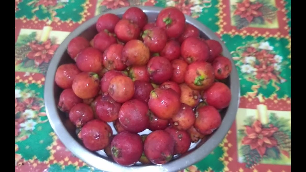 DOCE DE ARAÇÁ ROSA - YouTube
