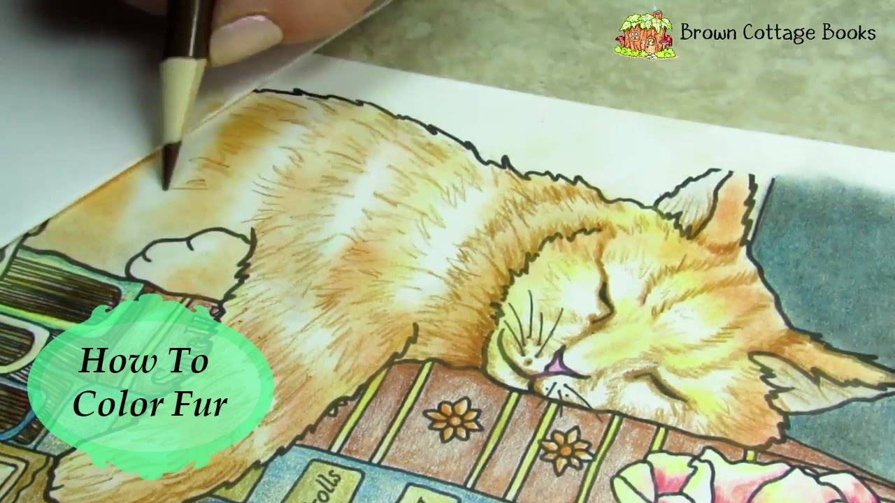 HOW TO COLOR FUR Tutorial Cats by Annie Brown - YouTube