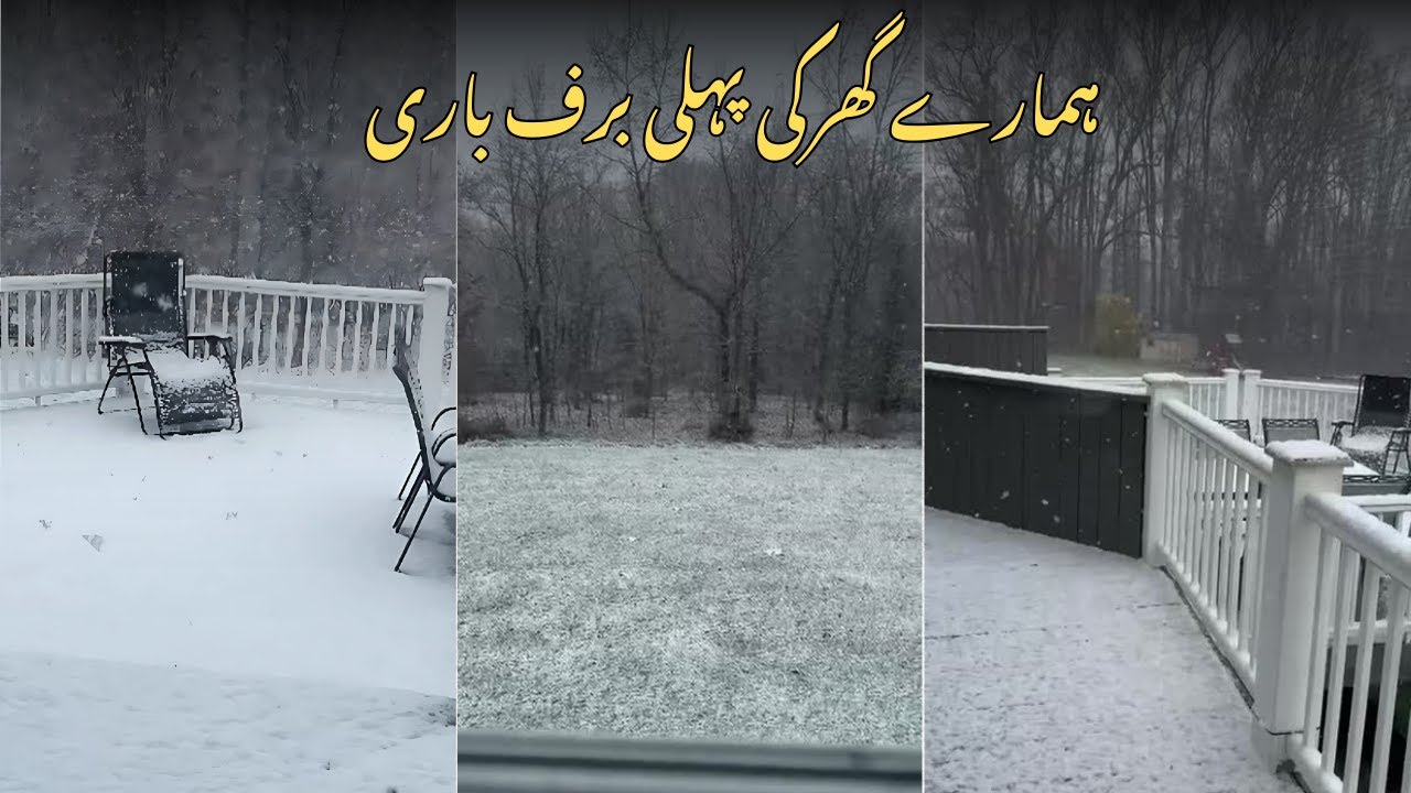 "The Magic of First Snow | Winter's Beautiful Arrival | Bina Goindi ...