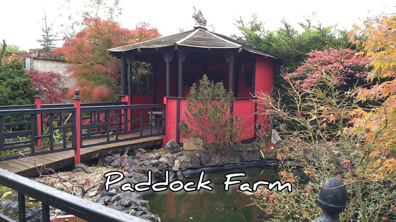 Paddock Farm Nursery and Water Garden, Dalton-on-Tees, Darlington ...