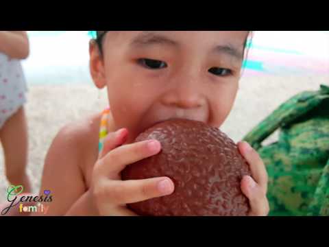 GIANT CHOCOLATE EGG Surprise Ferrero Rocher EDNA BIRTHDAY Vlog TWOZIES PLAYSET #75 Genesis Family +