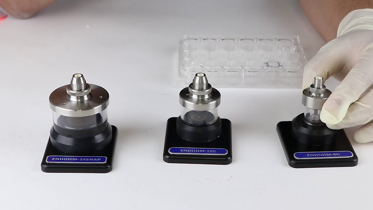 Choosing an EndOhm Chamber Compatible with your Cell Culture Inserts ...