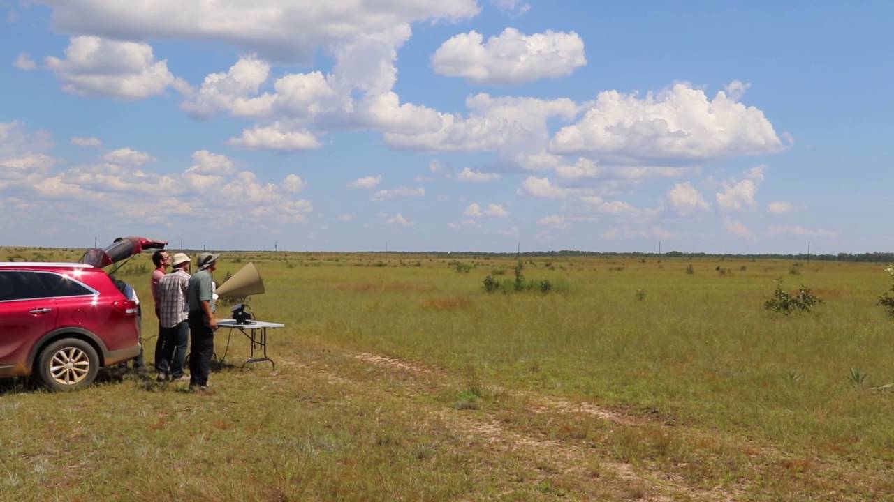 Northrop Grumman DRAKE negating Group 1 drone - YouTube