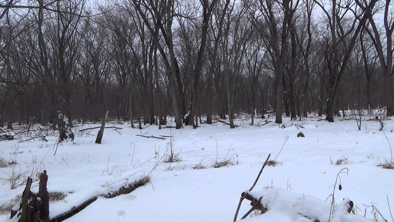 @ Wendigo Sighting Area Revisited- General Field Clip's Part-2 @ - YouTube