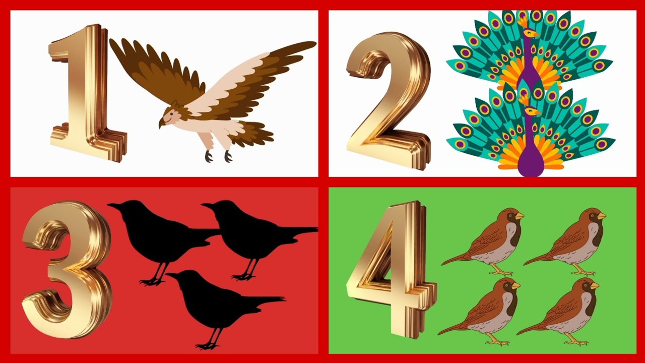 BabyJoy- Learn Numbers 1-10 with Birdsname #123 #counting #birds # ...