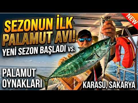Palamut Çok - Yeni Sezon Palamut Avı