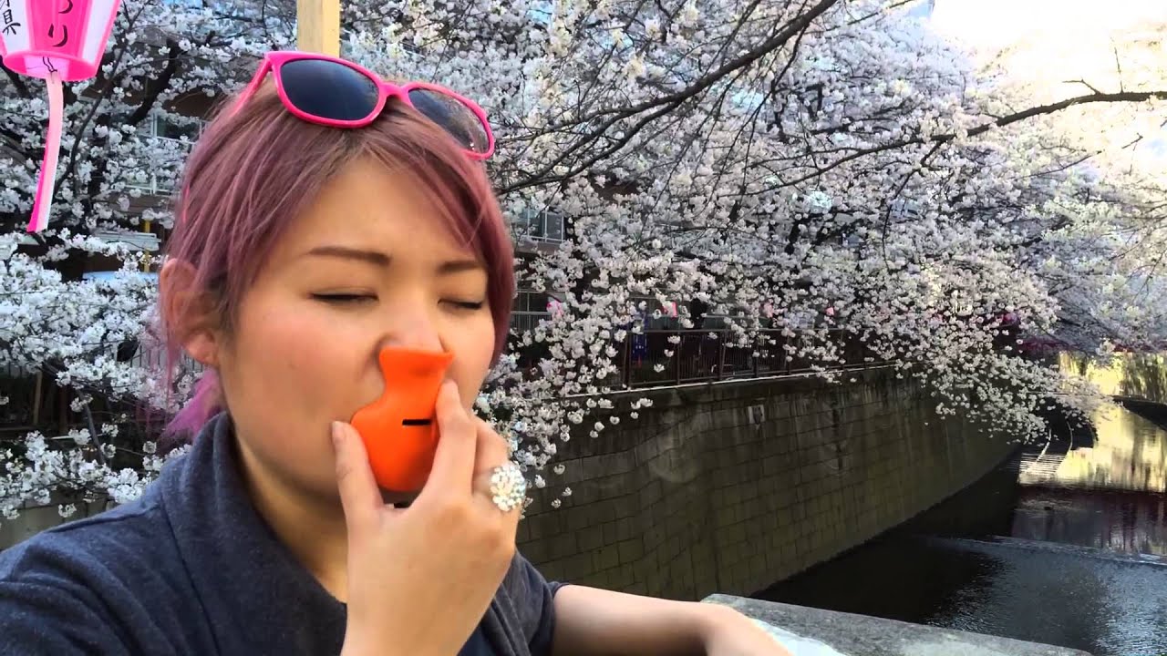 【鼻笛】さくら - Sakura [Nose Flute] - YouTube