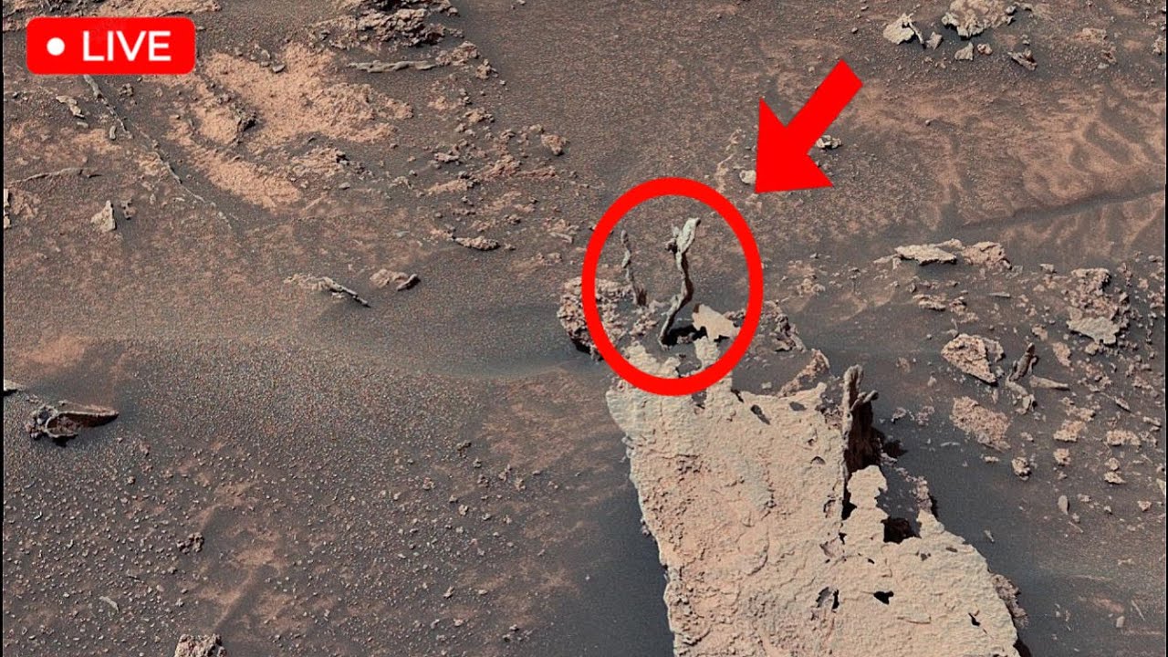 NASA Mars perseverance rover discovery New images Life in Mars ...