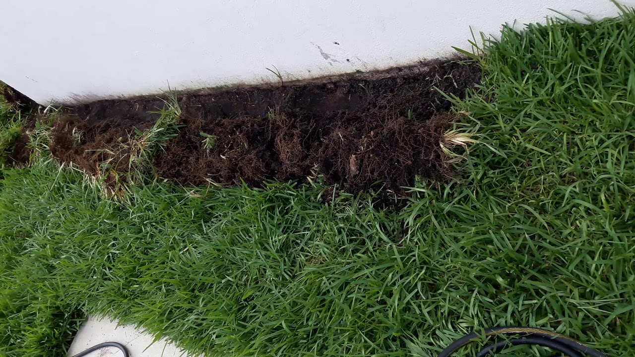 Digging a trench for termite treatment - YouTube