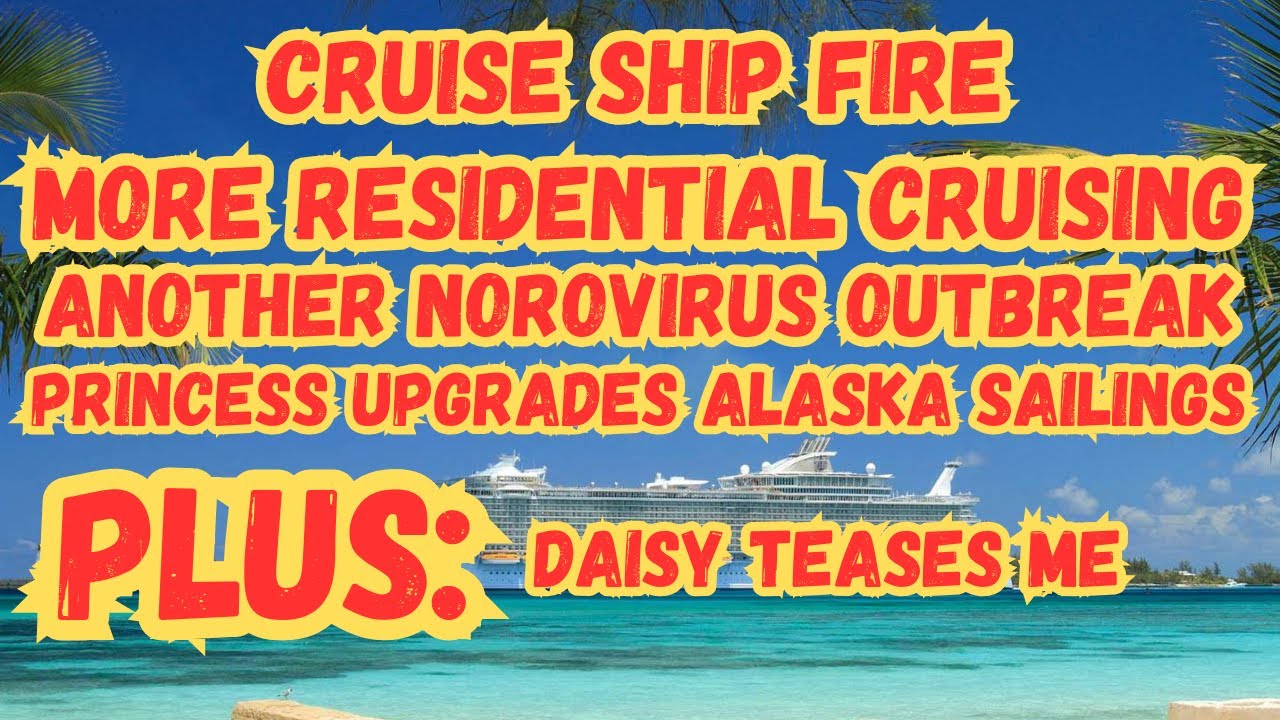 THE DEVIOUS SIDE OF DAISY THE CHIHUAHUA Plus A New Option For ...