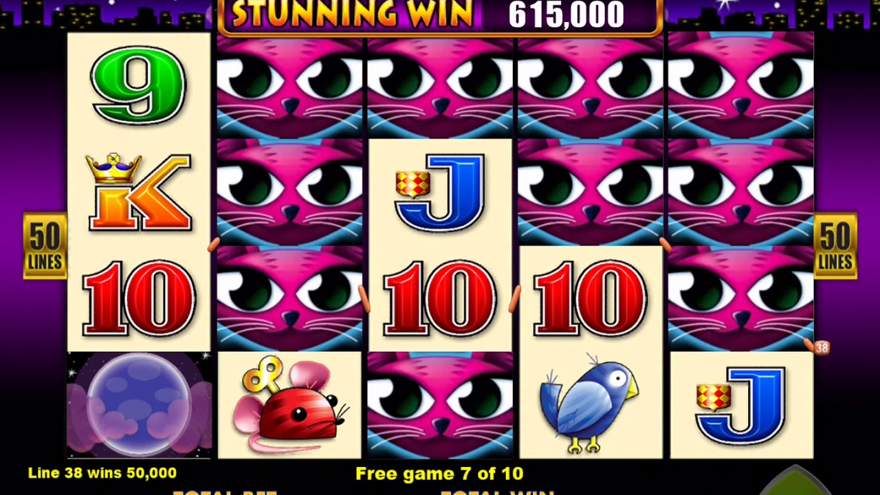 MISS KITTY Video Slot Casino Game with a FREE SPIN BONUS - YouTube