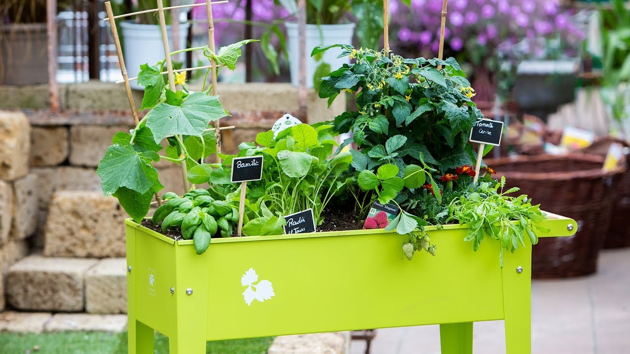 Comment créer un potager de balcon - YouTube
