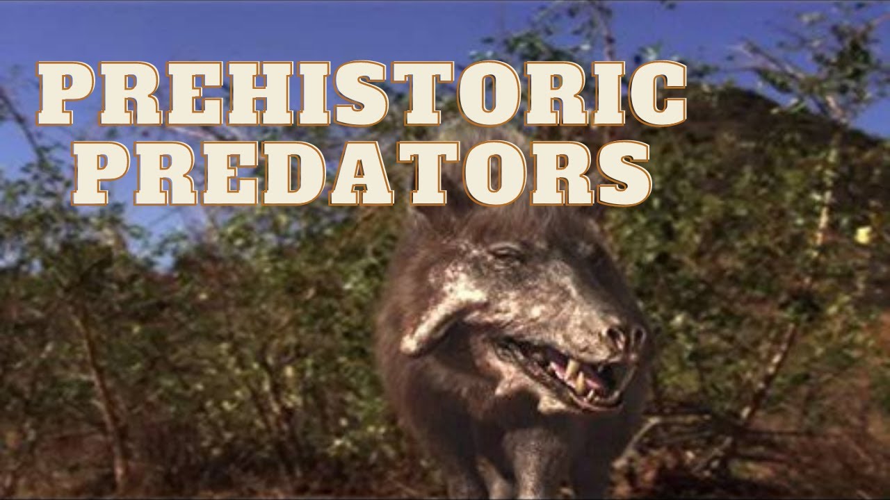 Prehistoric Predators - Documentary Compilation - YouTube
