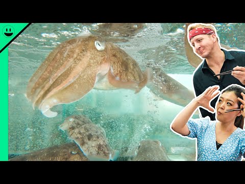 Eating Cuttlefish in Asia! Hong Kong's Strange Seafood! - YouTube