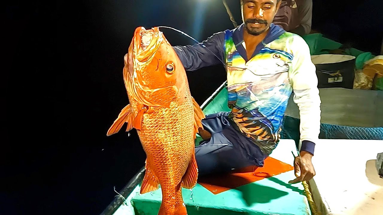 Catching Marine Cat Fish, Mangrove Jack & Eel Fish in the Sea - Part I ...