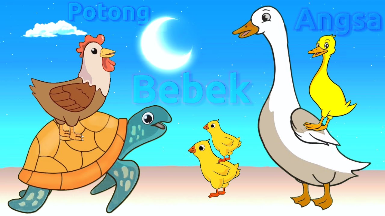 Bebek Angsa dan Ayam ,kura-kura 🦆🐢🐥🐥🐥Potong Bebek Angsa - YouTube