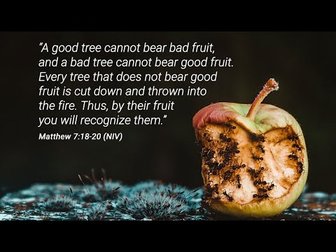 Good Fruit! #bible #devotional #lifelesson #God - YouTube